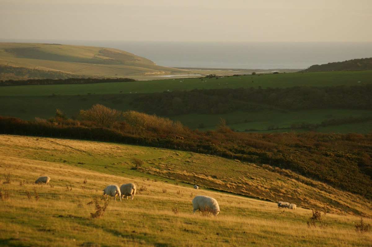 GKC, Part 1 of 3: “A Piece of Chalk” – Flight To Wonder