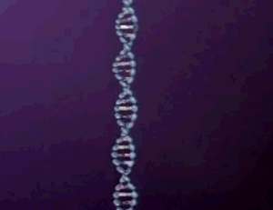 Draft Intro: Early Life On Earth – Flight To Wonder