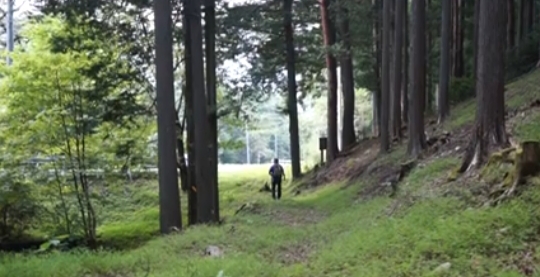 Guest Video: In Search of Japan’s Lost Wolves – Flight To Wonder