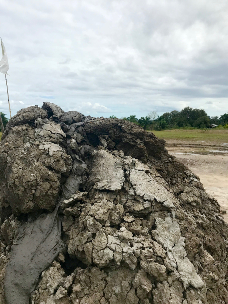 Guest Videos: Piparo Mud Volcano’s Nightmare Before Christmas – Flight ...